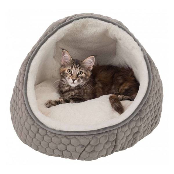 Kattesenger, kattehuler og kattetelt på nett - I Love Dogs.no